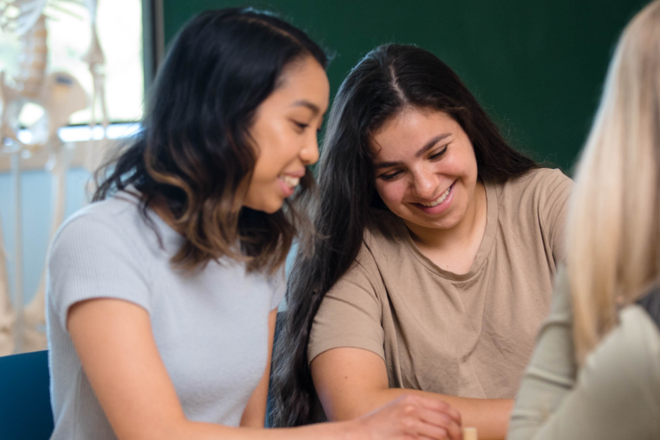 Our Strategic Action Plan - Occupational Science & Occupational Therapy